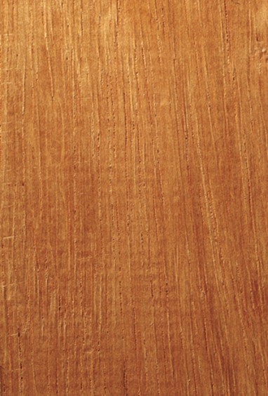 Rough Sawn Timber Supplier